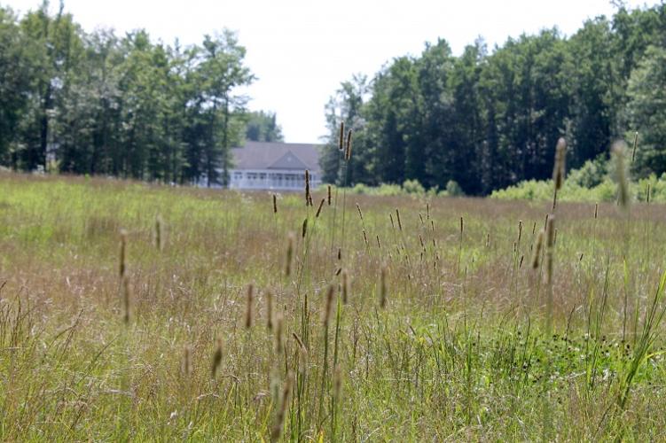 Golf courses on the brink in Cecil County | Local News | cecildaily.com