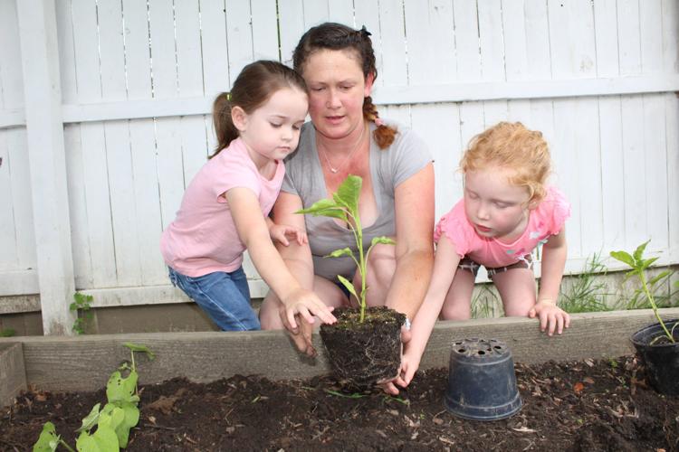 Beauty and purpose planted at Mary Randall Center | Spotlight ...