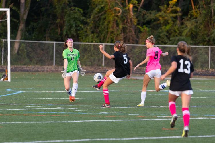 Panthers moving full steam ahead as regular season winds down | Sports ...