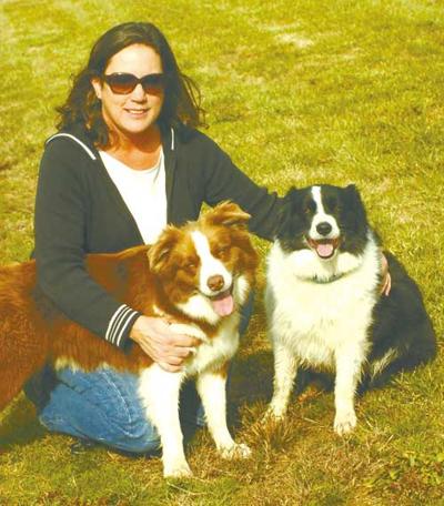 GOOSE DOGS*Canine duo hired out to rid farms and parks of geese | News ...