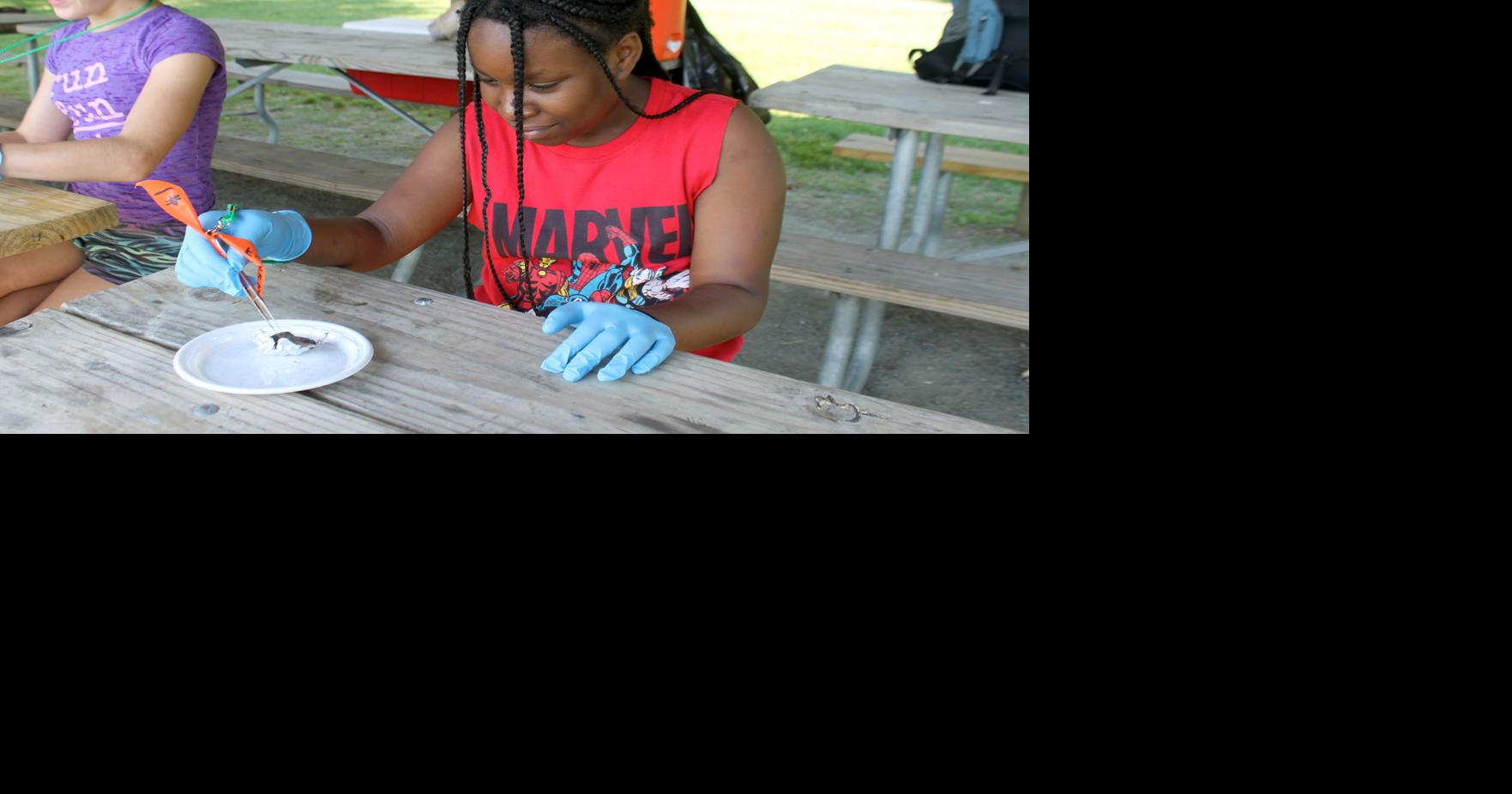 Campers commune with nature at Fair Hill | Local News | cecildaily.com