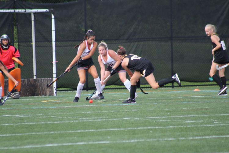 Harford Tech Cobras defeat Rising Sun Tigers 6-1 | Sports | cecildaily.com