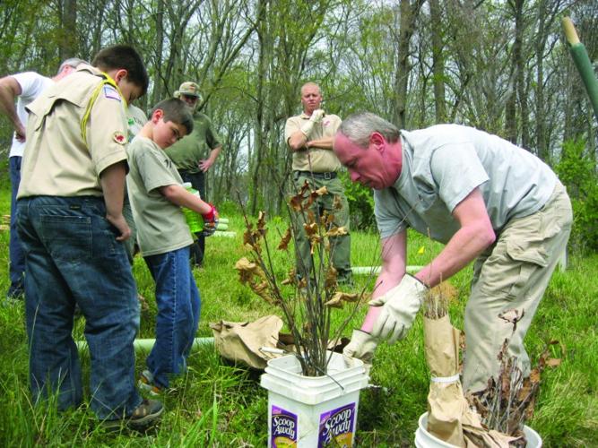 Scouts plant 100 trees in Fair Hill | Local News | cecildaily.com