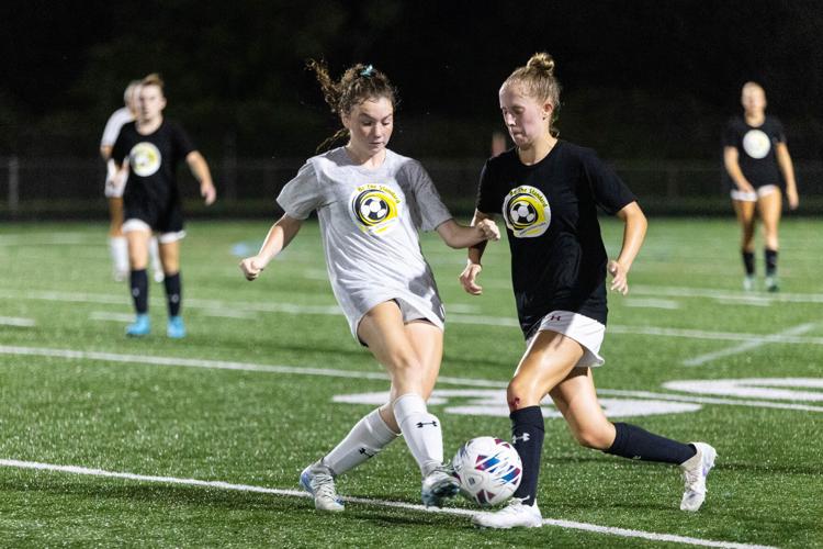 'It's really good getting awareness out there': North East, Bohemia Manor soccer programs ...