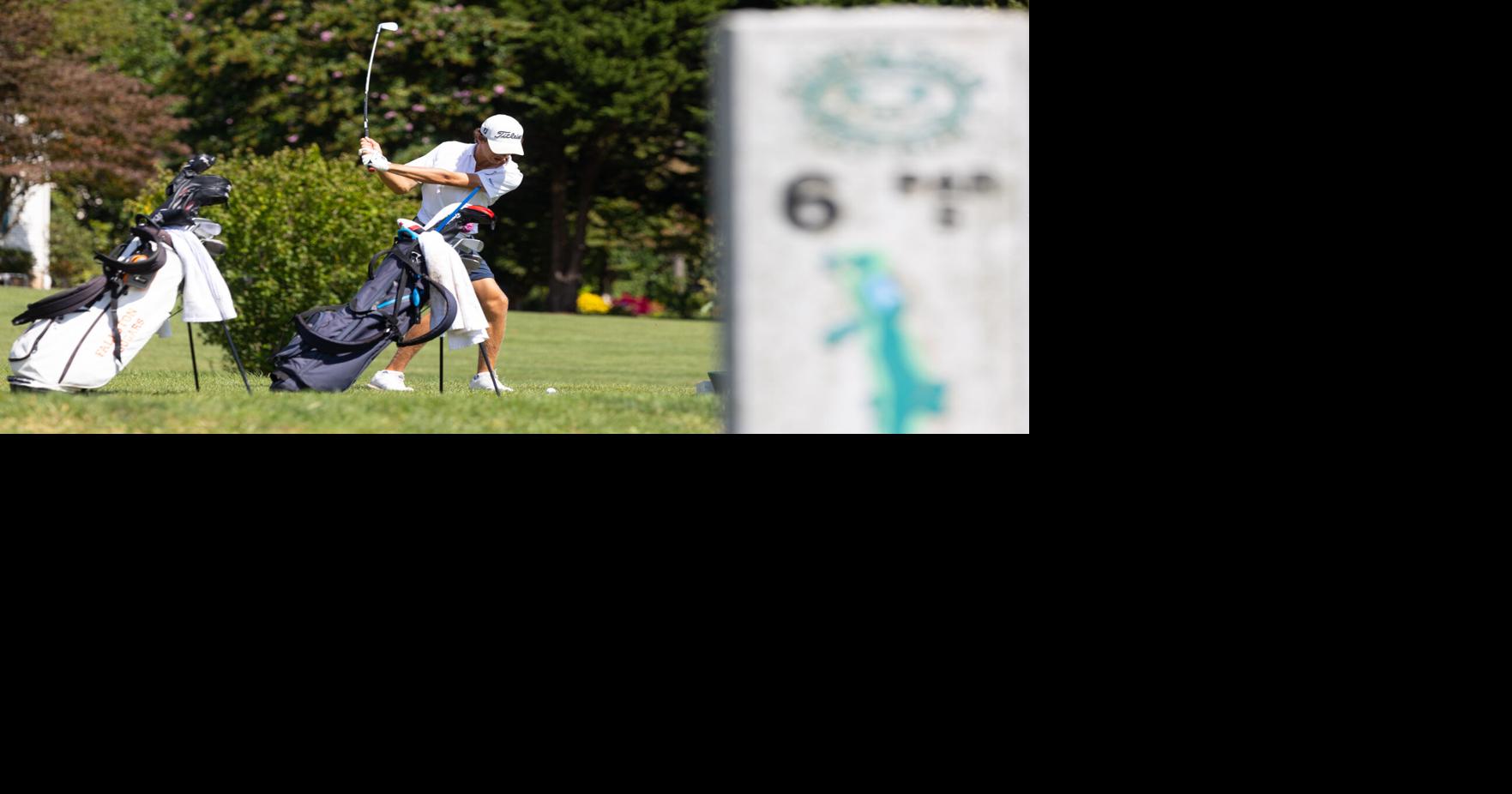 One team, two individuals qualify for golf states | Sports | cecildaily.com