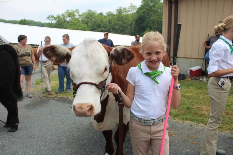 Breeder's Fair brings together 4-H clubs | Agriculture | cecildaily.com