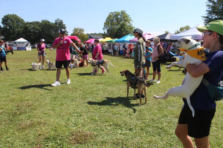Paws in the Park welcomes pups and pup parents | News | cecildaily.com