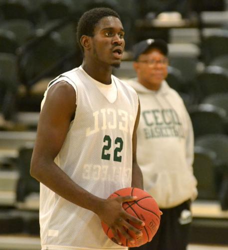 Seahawks men's basketball season preview | Cecil College | cecildaily.com