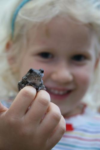 Park Pals program is looking for participants | Local News | cecildaily.com