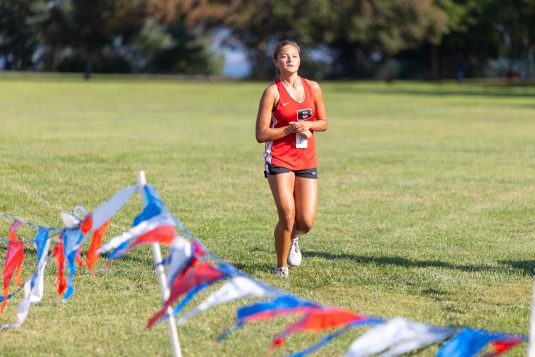 Bohemia Manor captures boys' division title; North East's Rogers takes ...