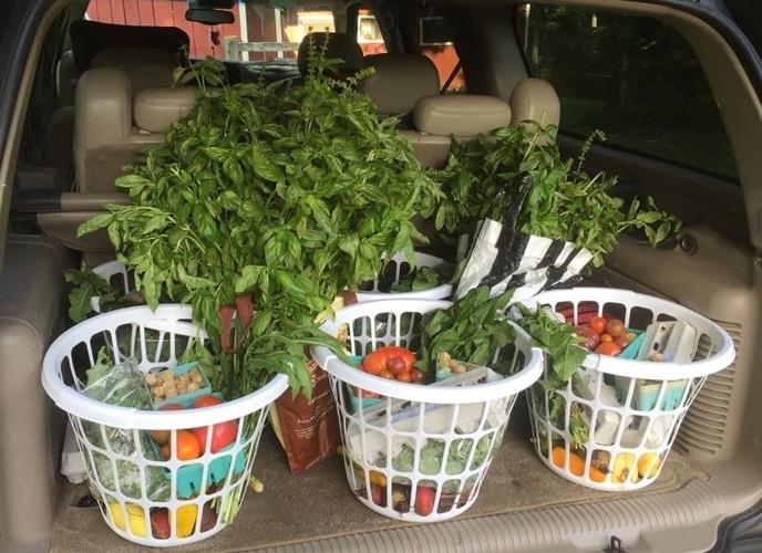 AgriCulture: Rooted In Our Community tries again, Ag Discovery, student ...