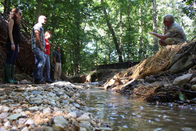 Huge project aims to reduce runoff to Sassafras River | Spotlight ...