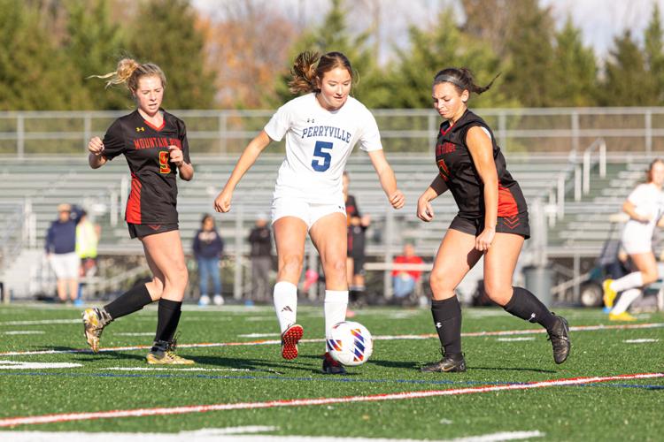 Perryville's three-goal rally sends Panthers to 1A title game | Sports ...