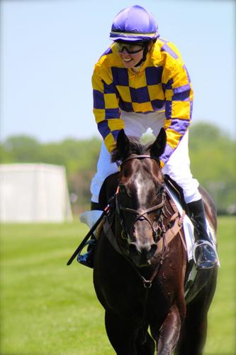 Fair Hill Races draw big crowd under new organizers | Local News ...