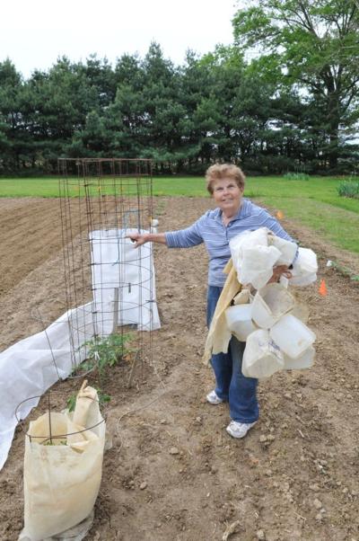 How’s your garden? Jean Major, of Chesapeake City | Our Cecil ...