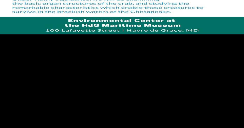 Blue Crab Dissection | | cecildaily.com