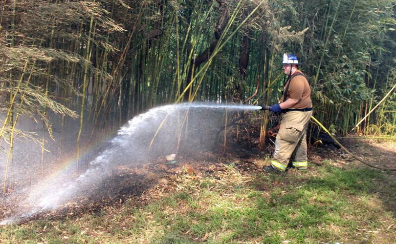 Volunteer firefighters battle brush blaze near Turkey Point | News ...