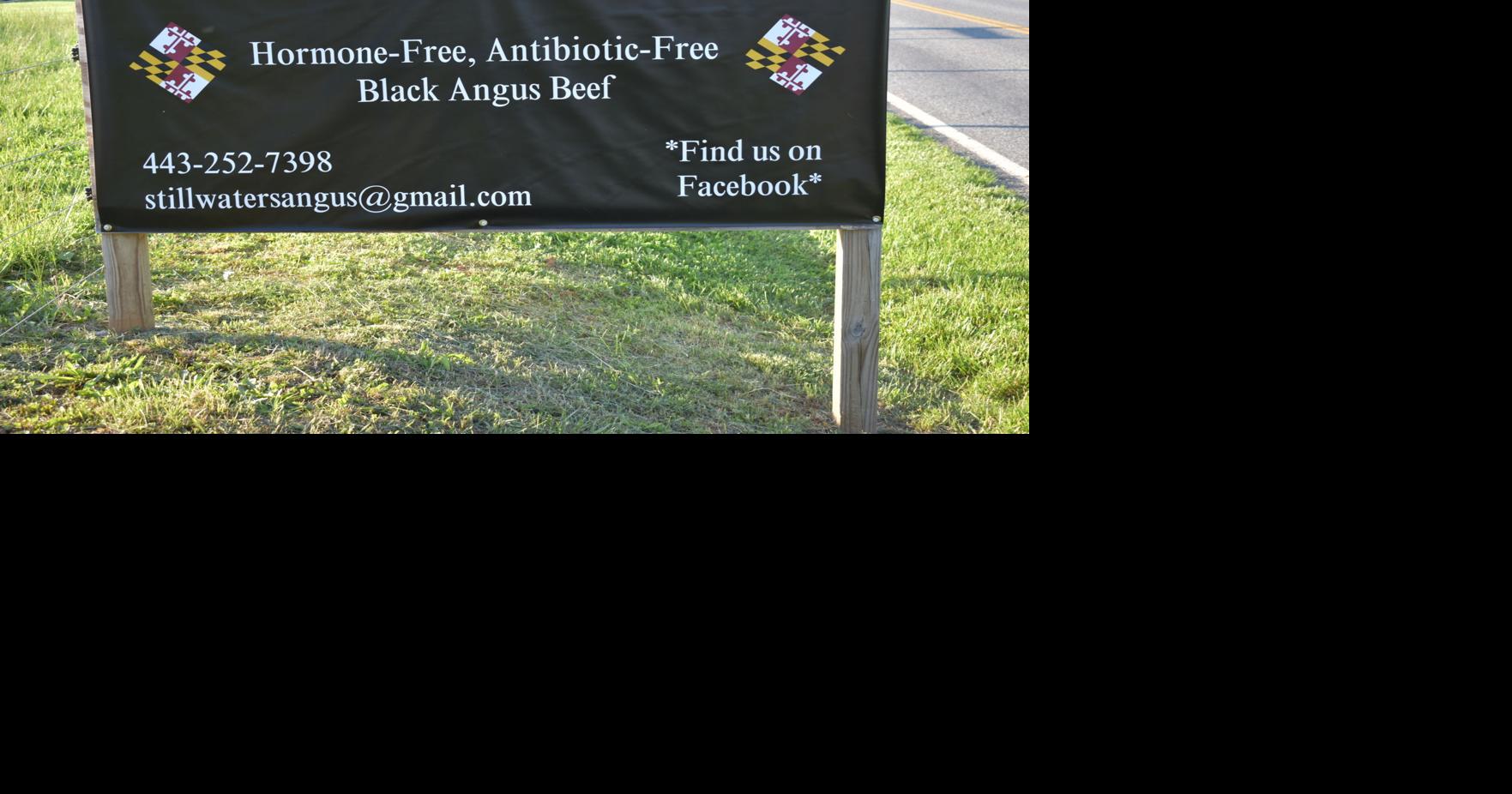 Still Waters Angus Farm equipment to be auctioned Saturday ...