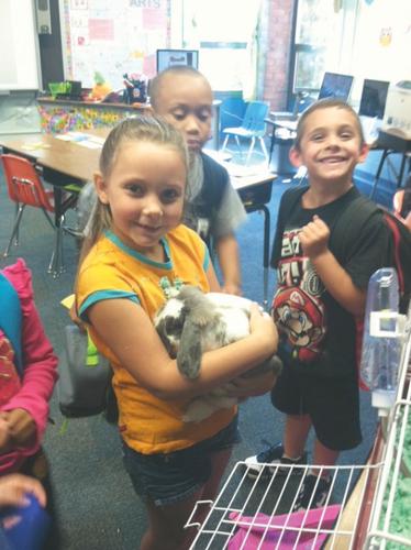 SCHOOL OF THE WEEK: Thomson Estates Elementary School | Our Cecil ...