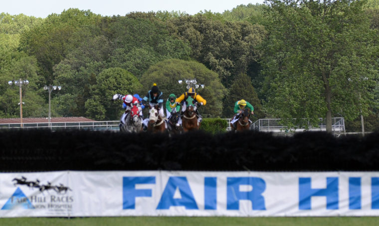 Fair Hill Races 2013 | News Gallery | cecildaily.com