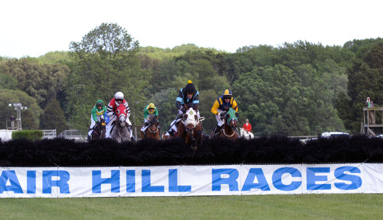 Fair Hill Races 2013 | News Gallery | cecildaily.com