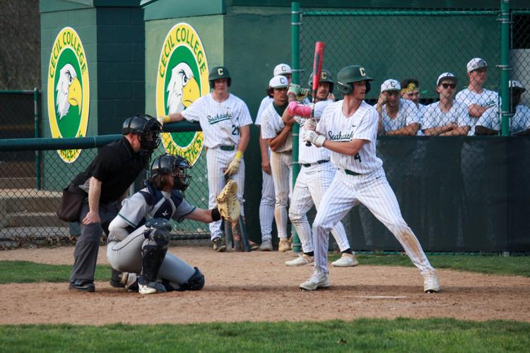 Cecil baseball finding success with high-scoring offense | Push ...