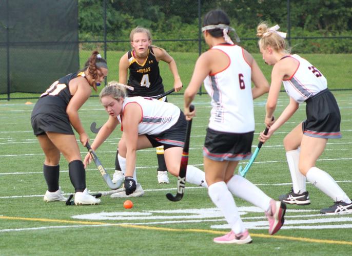 Harford Tech Cobras defeat Rising Sun Tigers 6-1 | Sports | cecildaily.com