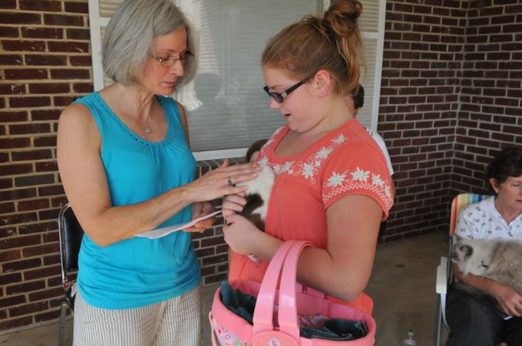 Blessing of the Animals brings out crowd | Local News | cecildaily.com