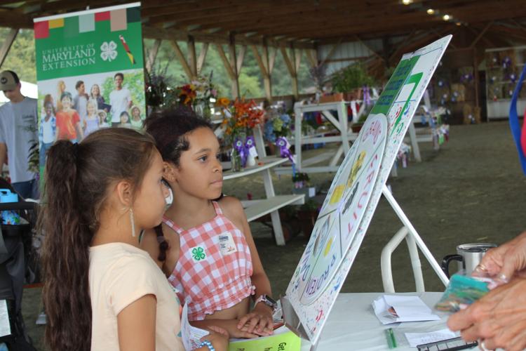 Children's Day brings fun and games to the Cecil County Fair ...