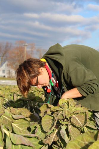Biz Beat: La Quinta Inn completes renovation in Elkton | Business ...