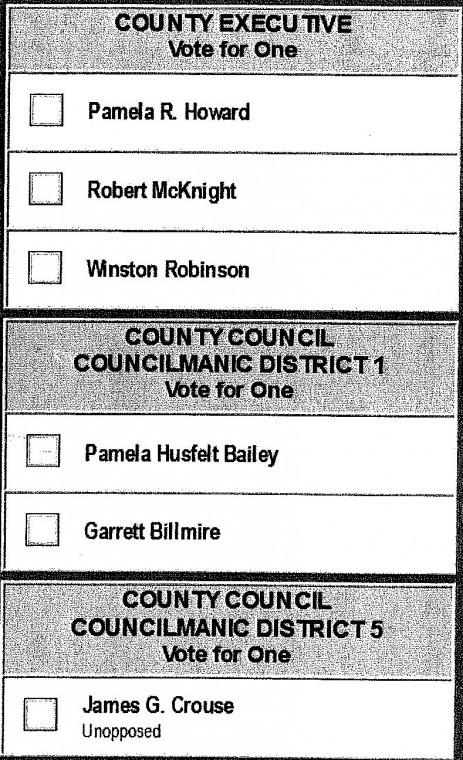 Democratic ballot | Local News | cecildaily.com