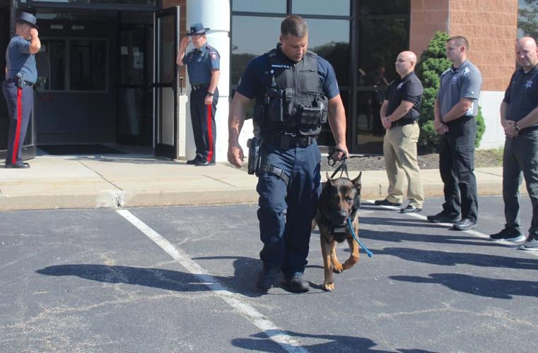 Police motorcade escorting ashes of K9 Kilo serves as public tribute ...