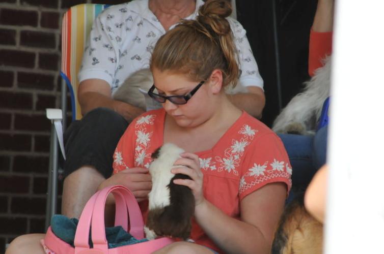 Blessing of the Animals brings out crowd | Local News | cecildaily.com