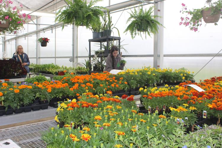 Cecil County School of Technology students strut their stuff at spring ...