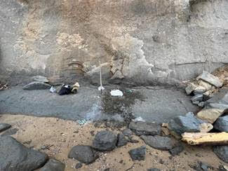 Explore Maryland: Most complete prehistoric bird skeleton found | Arts ...