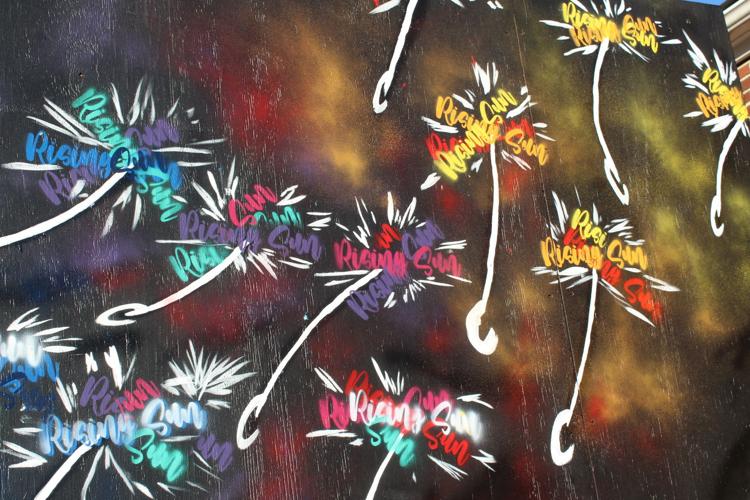 Interactive mural blooms on East Main Street in Rising Sun | Bargaineer ...