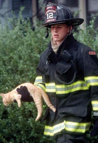 BREAKING NEWS: ‘Cat lady’s’ house catches fire | News | cecildaily.com