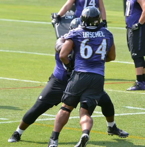 Ravens' Urschel balancing football, math as he competes for starting ...