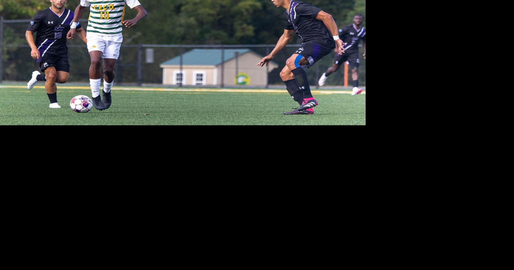 Cecil soccer sets historic mark | Sports | cecildaily.com