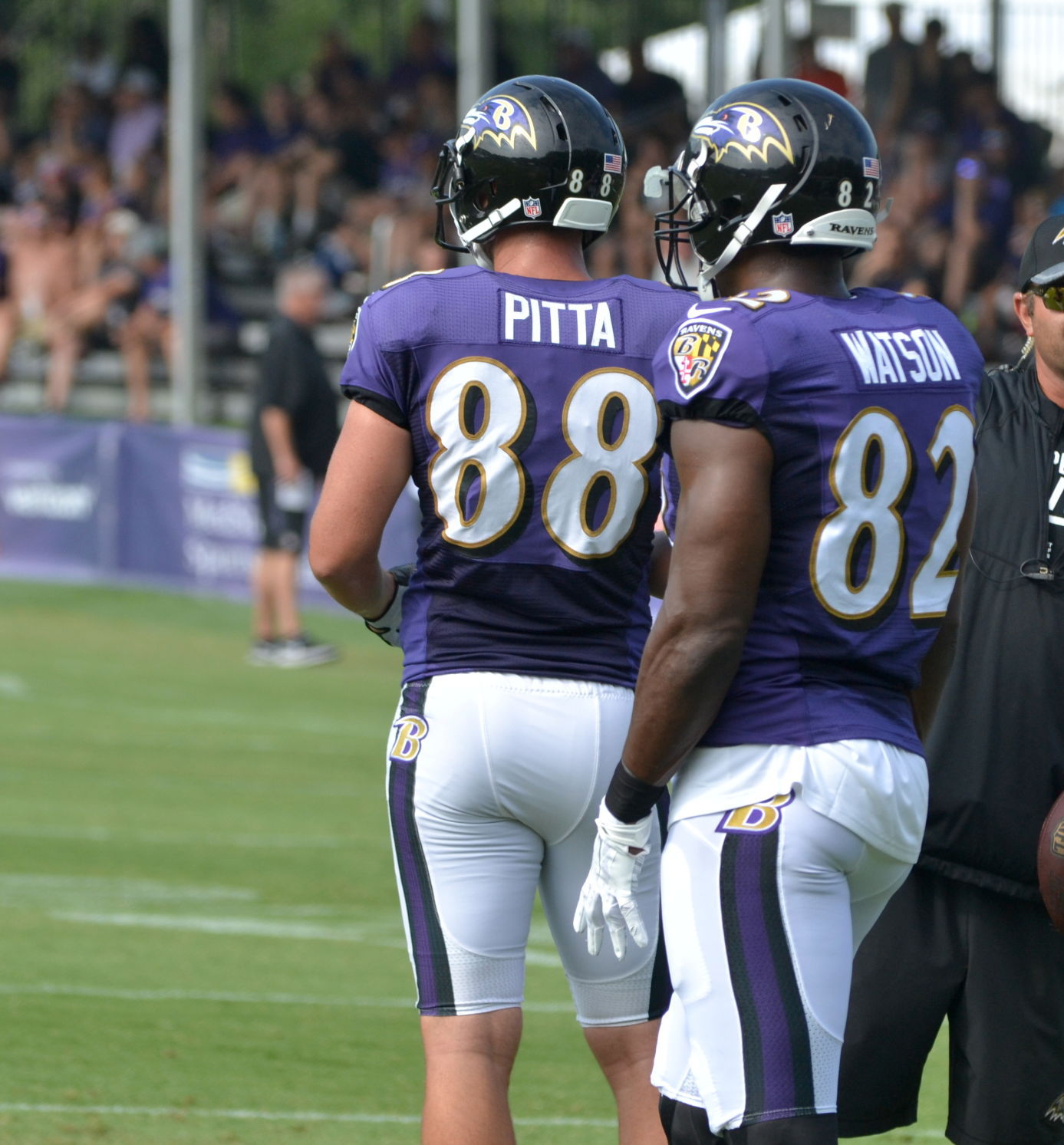 2016 Baltimore Ravens Training Camp | Sports Gallery | cecildaily.com