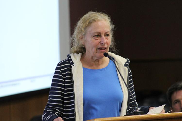 Sewer expansion hearing draws supporters, questions | Local News ...