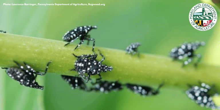 AgriCulture; COVID grants, Perryville farmers Market begins, BOLO ...