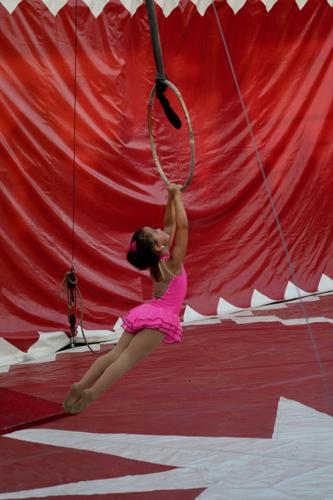 Victoria shines as new star in Victoria Circus | Cecil County Fair ...