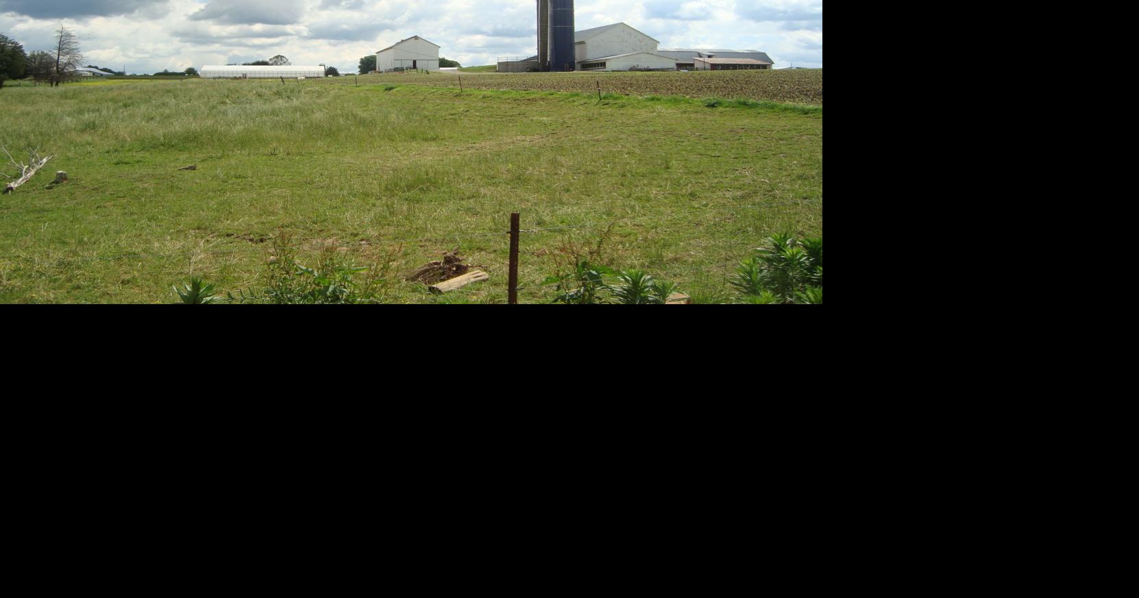 Nottingham Lots farm conserved with final donation | Business ...