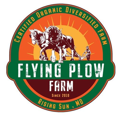 Flying Plow Farm introduces new logo, increased presence | Agriculture ...
