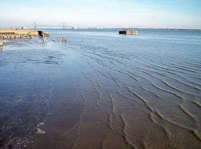 Request to block Delaware River dredging denied | News | cecildaily.com