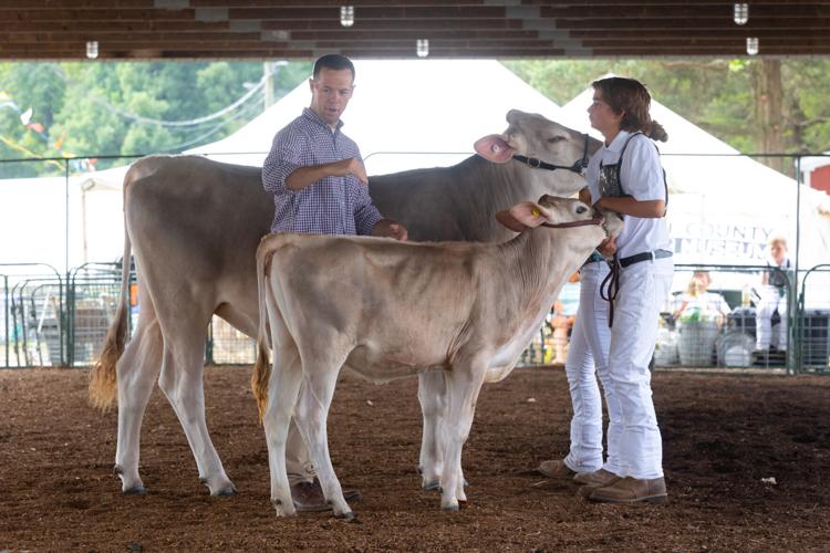 2023 Cecil County Fair Thursday Show | | cecildaily.com