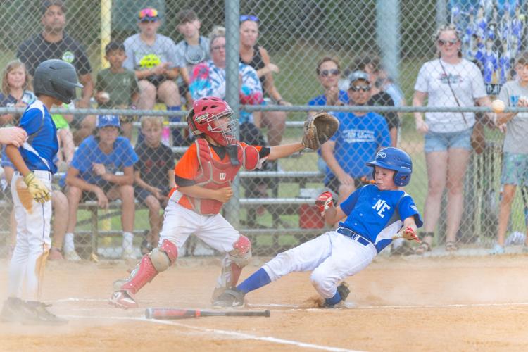 North East Little League 10U baseball crowned District 5 champions ...