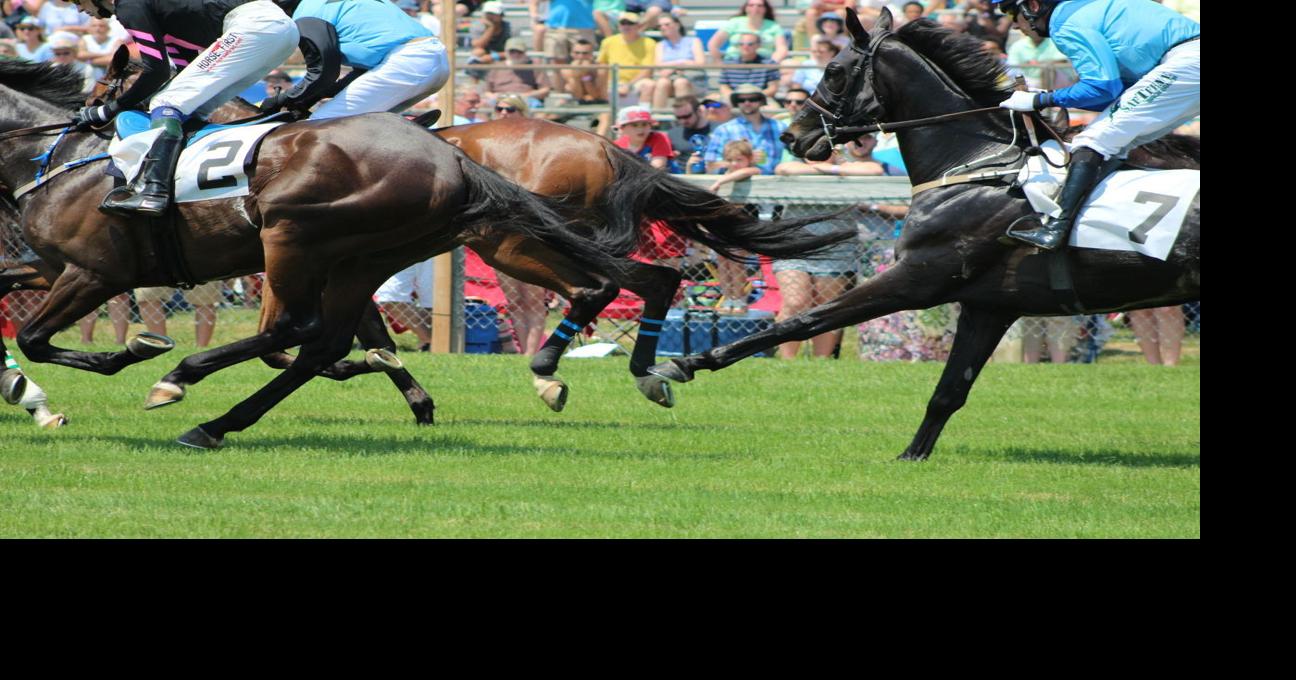 Horse racing, tailgating in dead heat at Fair Hill track | Local News ...