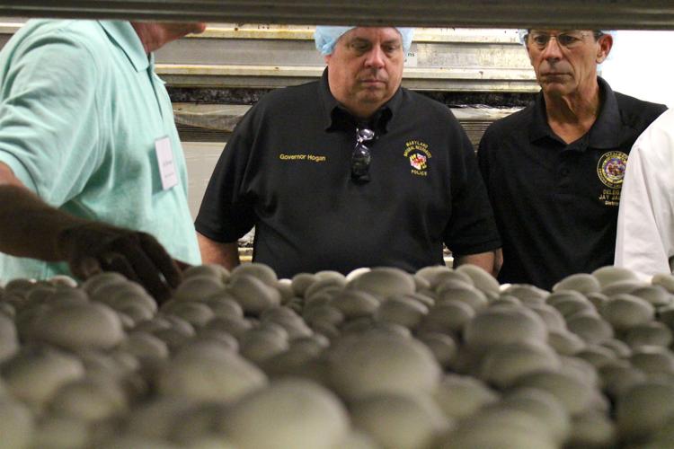 Hogan helps cut ribbon on new Warwick Mushroom facility | Spotlight ...